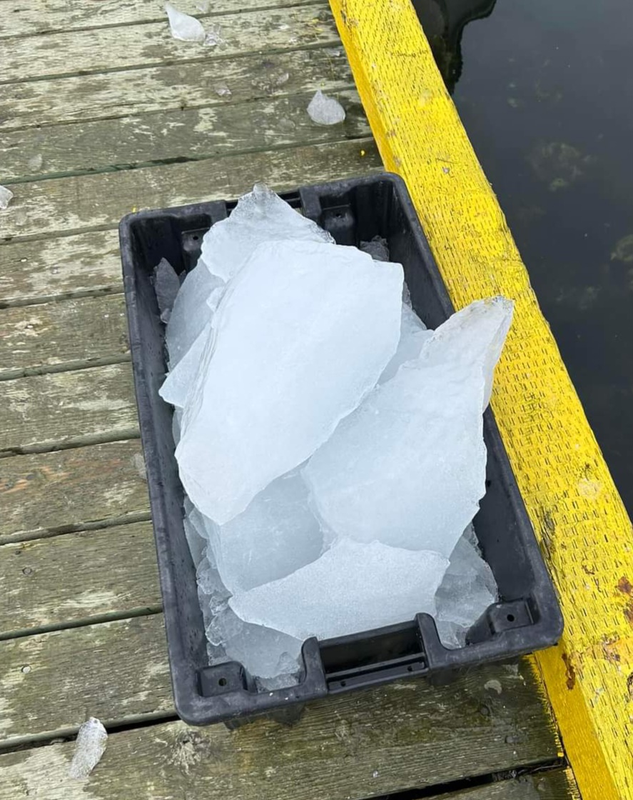 Gallery - Canadian Adventure Charters